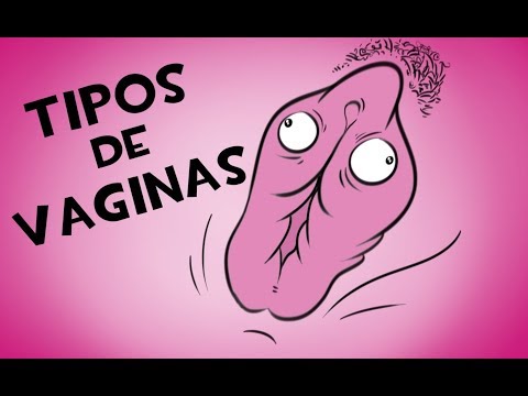 ¿SABIAS TU que existen distintos tipos de vaginas? - YouTube