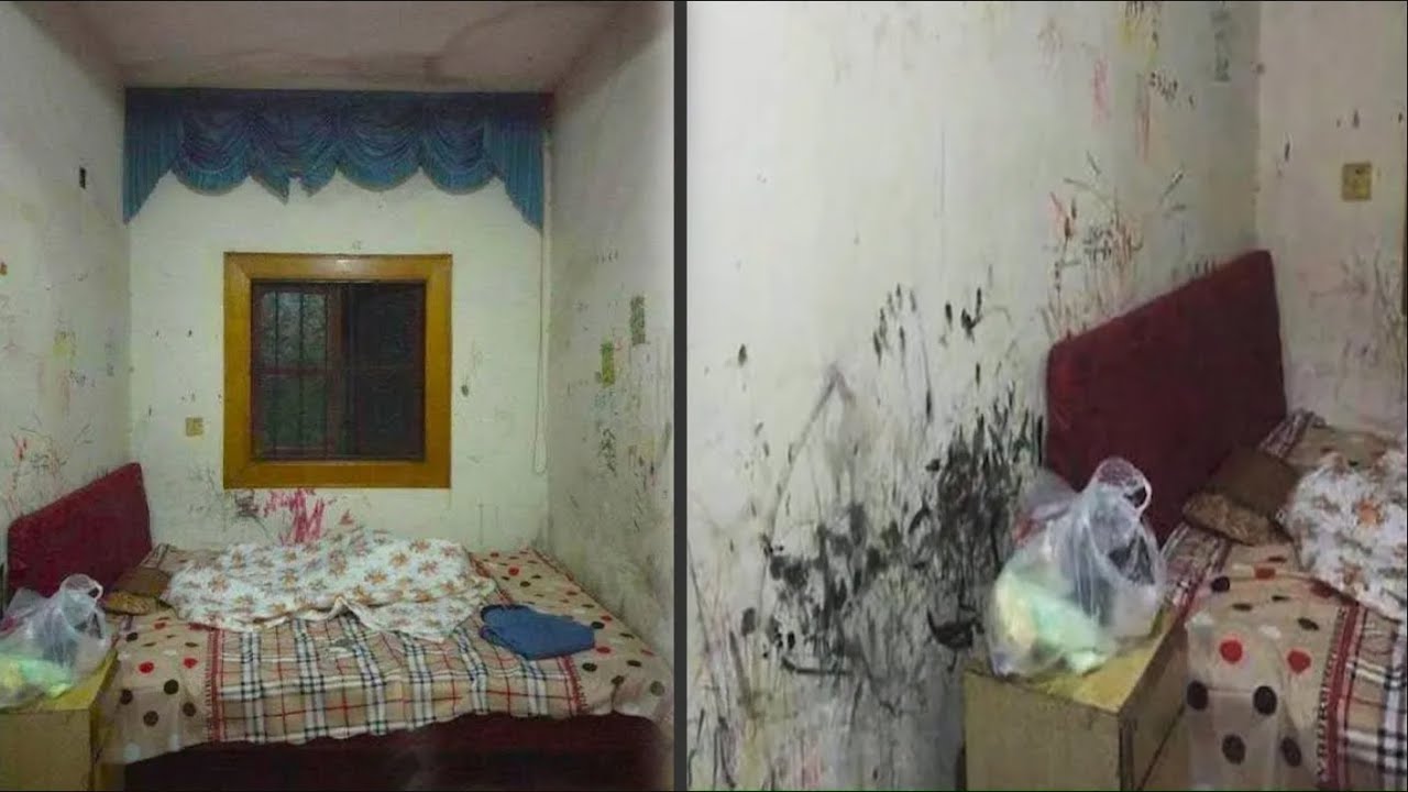 Student got the most terrible dorm room, but she made it a dream room ...