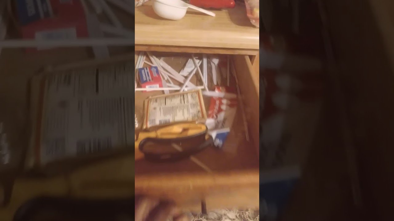 Gizmo Gets Herself Stuck in the Kitchen Drawer || ViralHog - YouTube