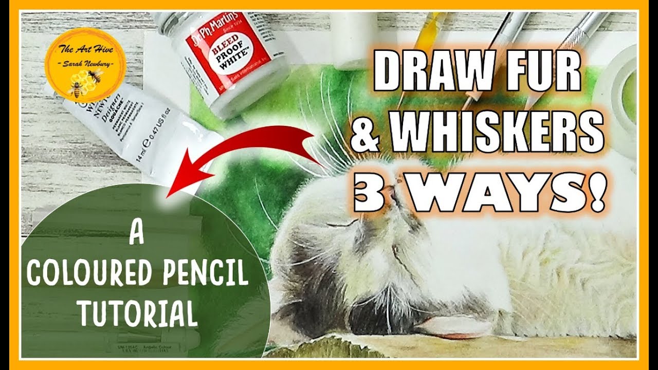 HOW To DRAW REALISTIC CAT FUR WHISKERS A COLOURED PENCIL TUTORIAL how-to-draw-realistic-cat-fur-whiskers-a-coloured-pencil-tutorial
