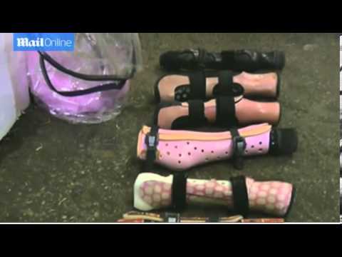 Emma the 3 legged donkey with a prosthesis - YouTube