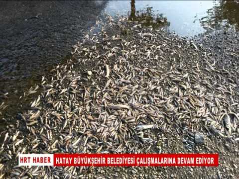 HATAY BÜYÜKŞEHİR BELEDİYESİ ÇALIŞMALARINA DEVAM EDİYOR