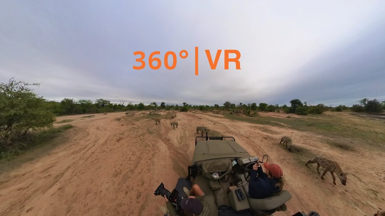 Hyena clan encounter 360° | VR | Too Wild - YouTube