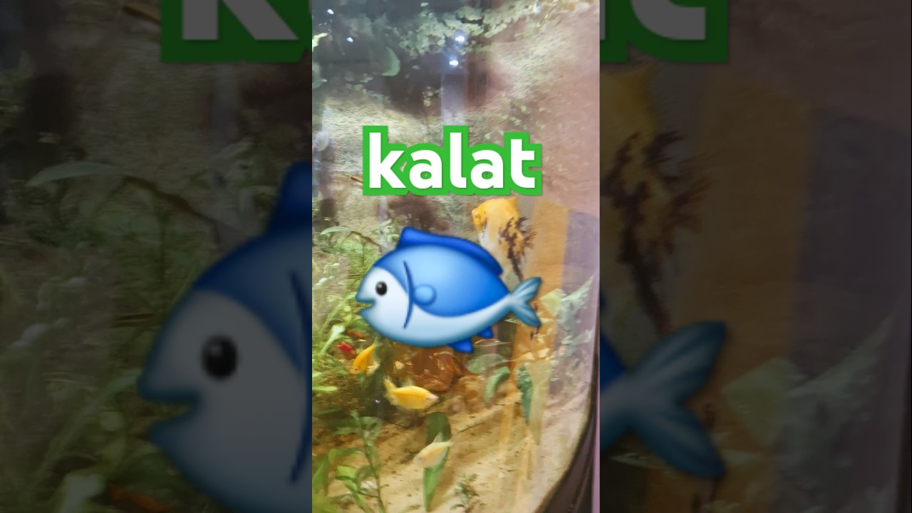 kalat - YouTube