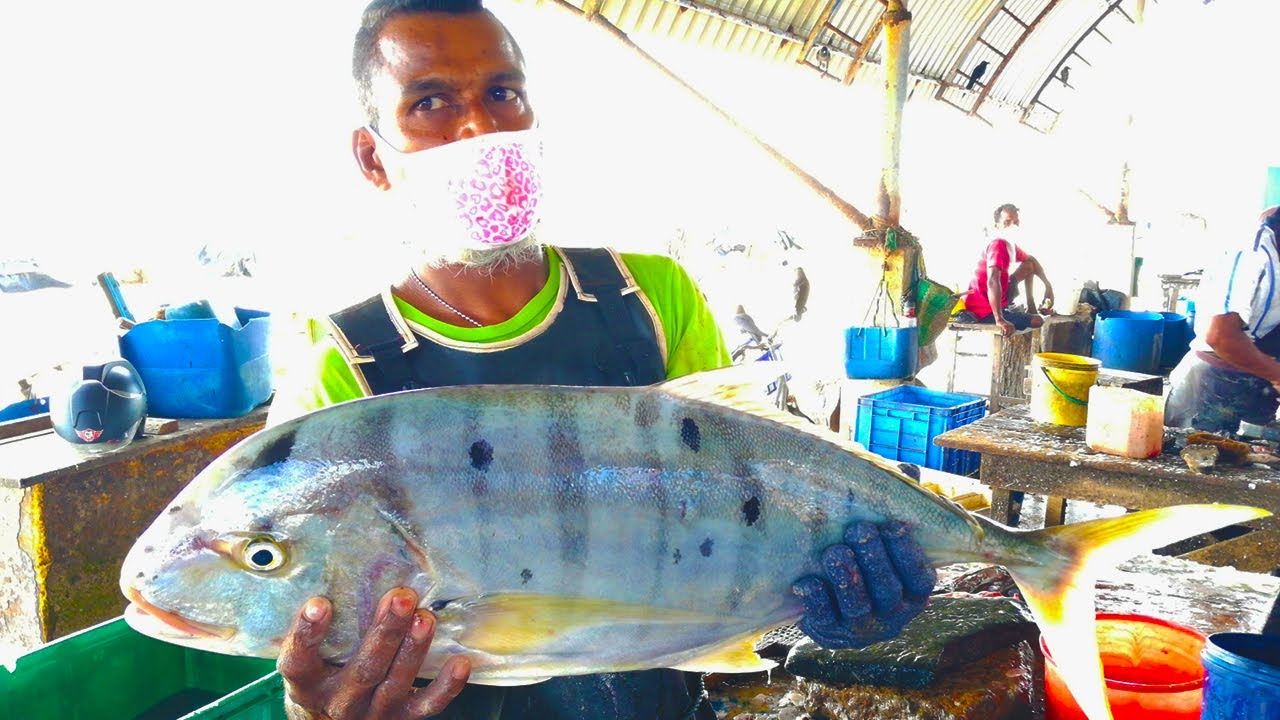 Giant Trevally Fish Cutting | Fish Cutting Skills - YouTube