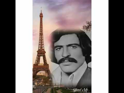 Çakallara İnat herşeyimsiniz