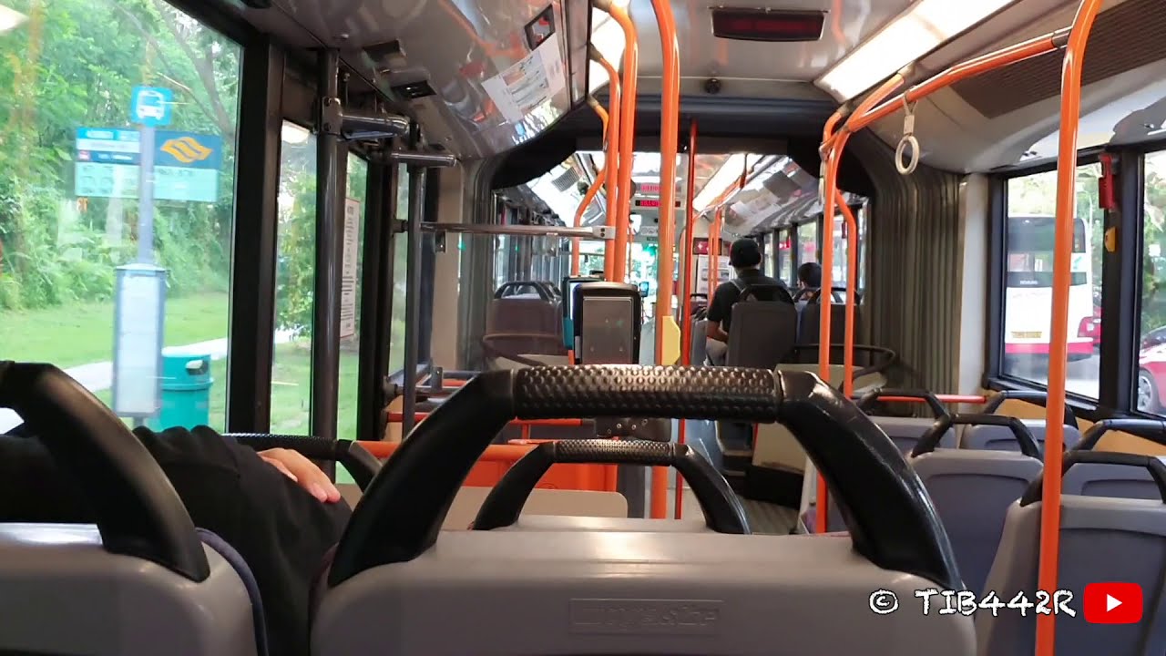 SMRT Buses: Mercedes-Benz O405G (TIB1237K on Service 184) - YouTube
