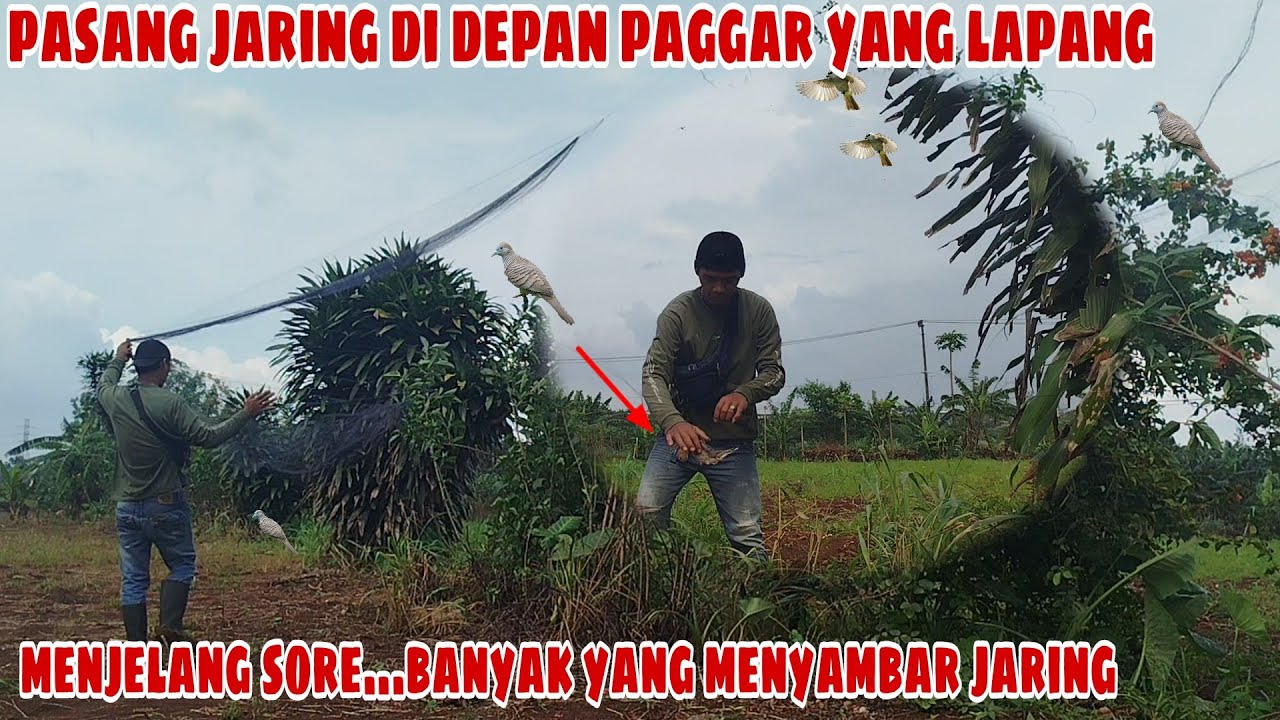 pasang jaring di depan paggar yang lapang menjelang sore.. banyak yang ...
