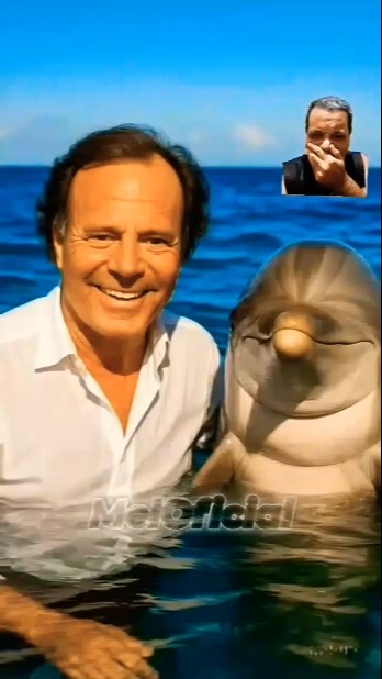 JULIO ESTA CERCA DELFIN..MEMES DE JULIO... #IA #memesjulioiglesias # ...