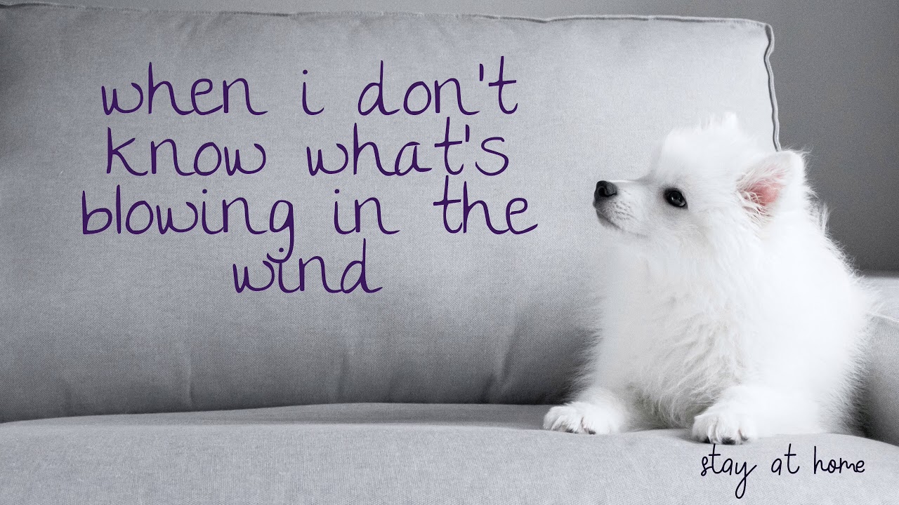 Stay At Home - YouTube