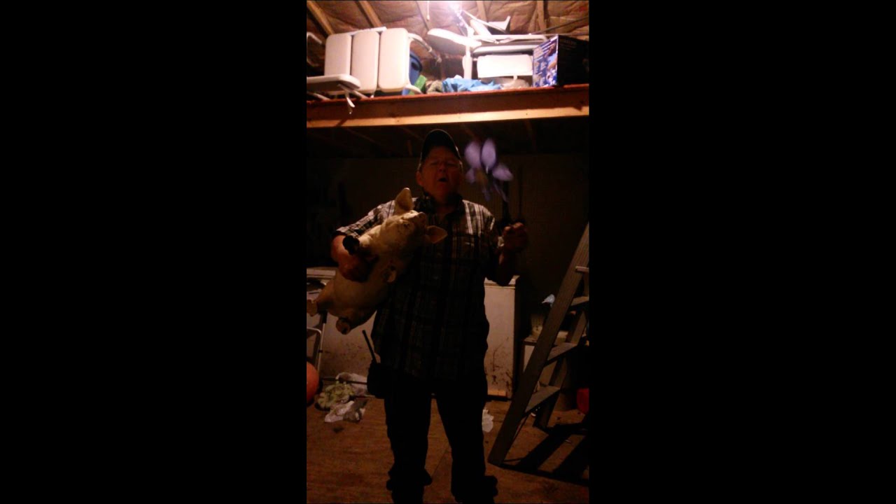 Pinwheel and a pig - YouTube