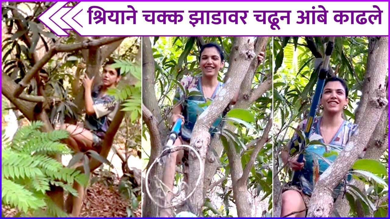 श्रियाने चक्क झाडावर चढून आंबे काढले | Shriya Pilgaonkar Climbed The ...