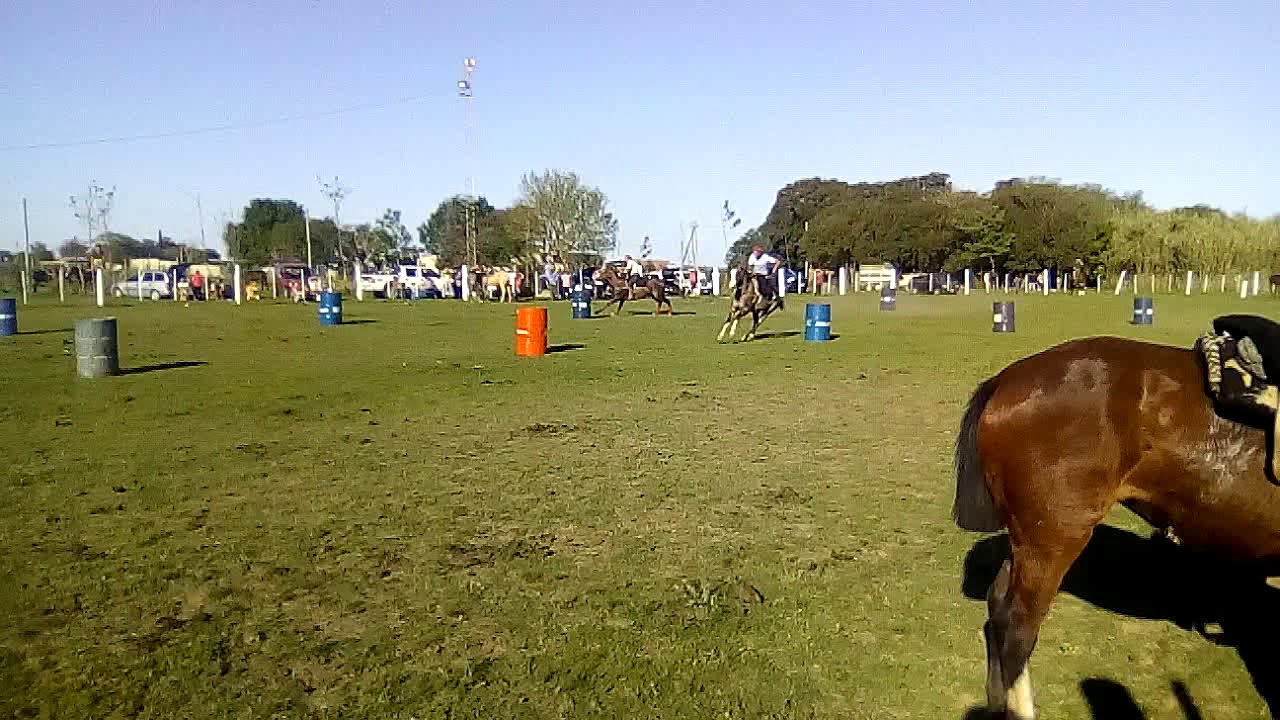 Faustino Todro Riendas Final - YouTube