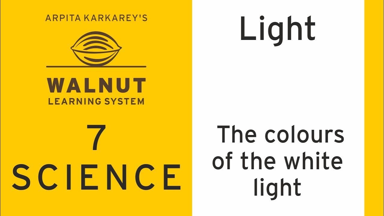 7 Science - Light - The colours of the white light - YouTube