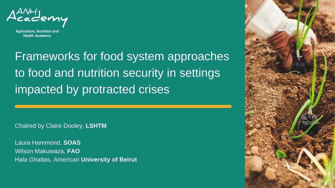 Frameworks for food system approaches to food security in settings ...