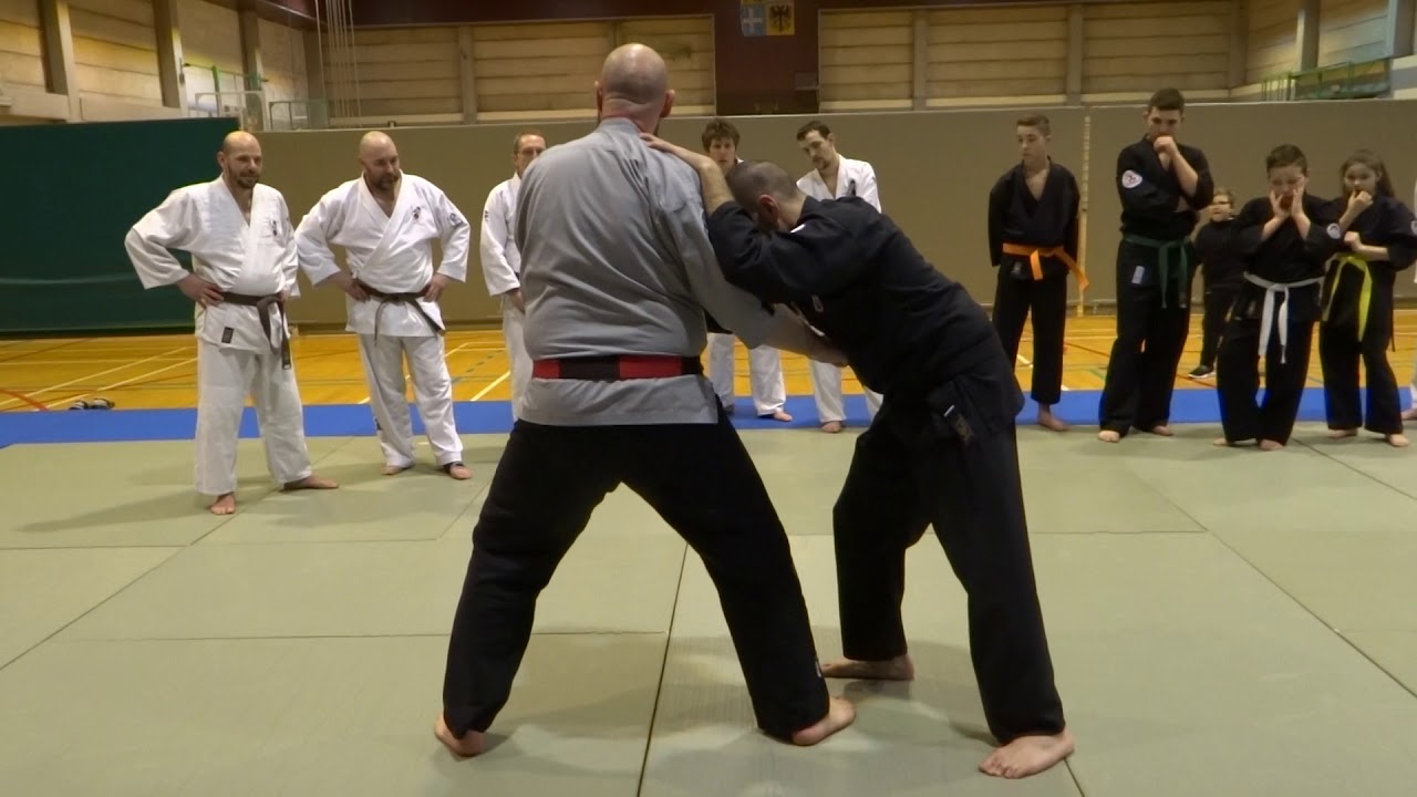 Échange BUSHI RYU / KAI JUTSU - YouTube