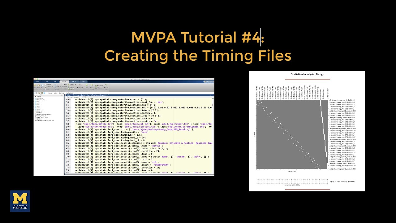 MVPA Tutorial #4: Timing Files - YouTube