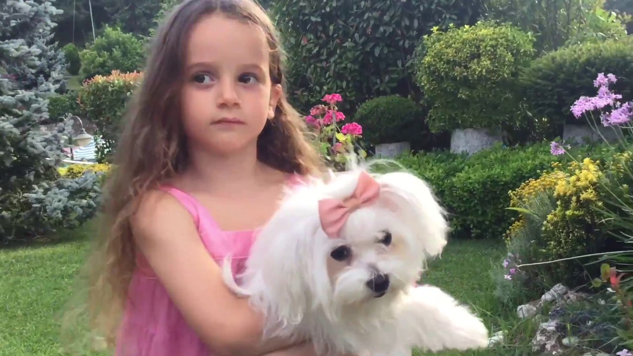 AYLİN COŞKUN - SİNSİRELLA | SELİN ~ MELİS - YouTube