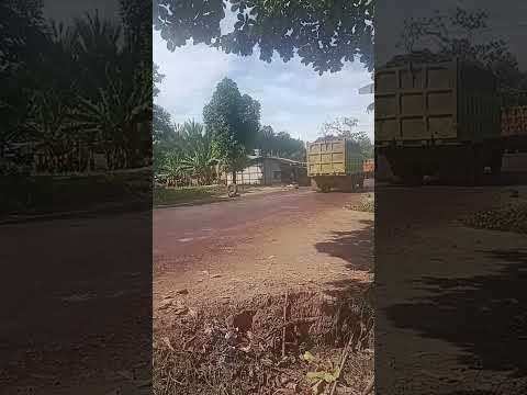 Cd Robek ga peduli dmi,qm.