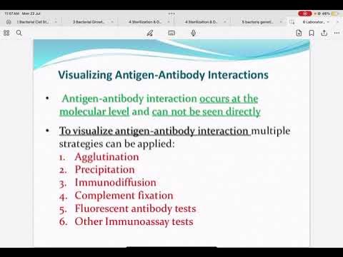 Lecture 6 part 2 by Dr Hazem - YouTube