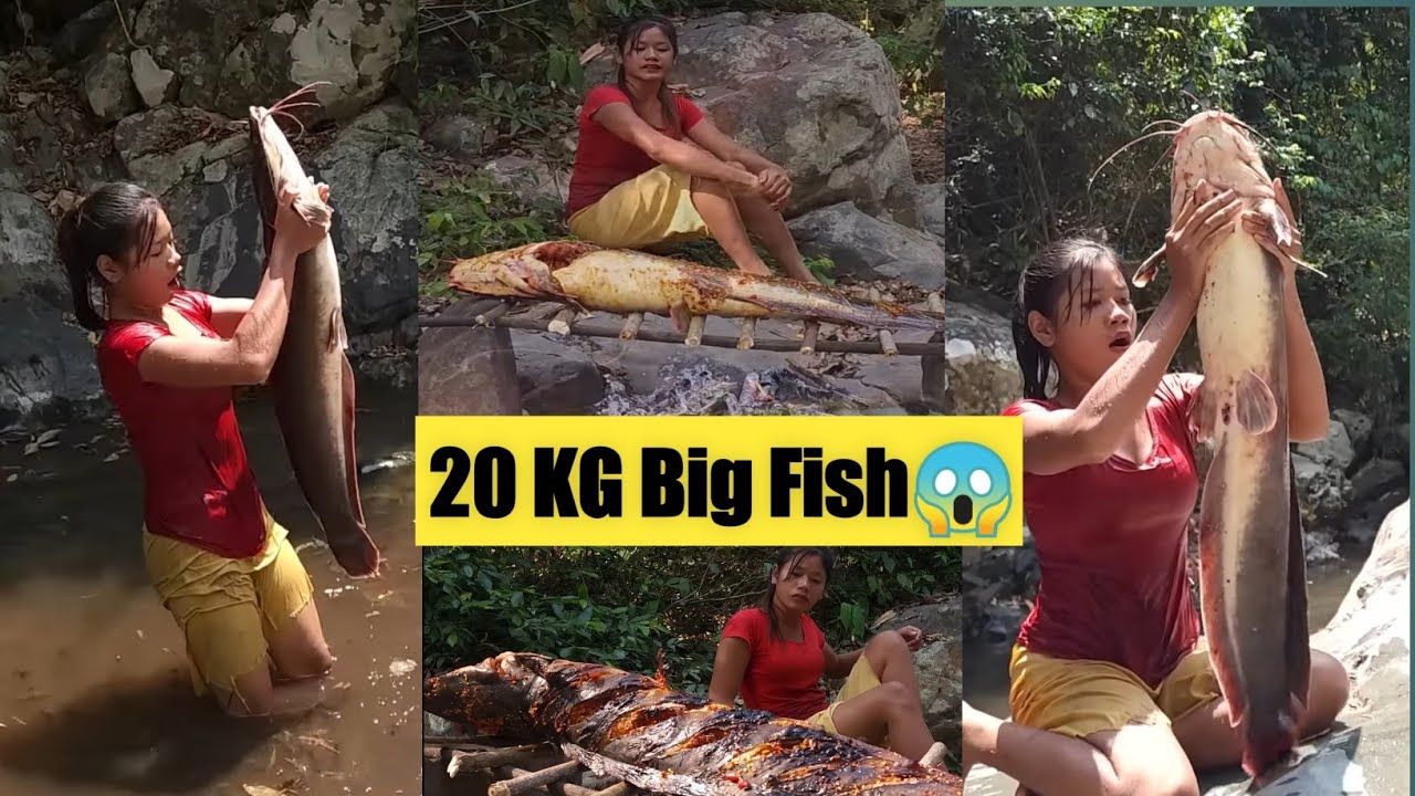 20kg Big Fish Cooking 😱 | Fish Cooking In Forest ...