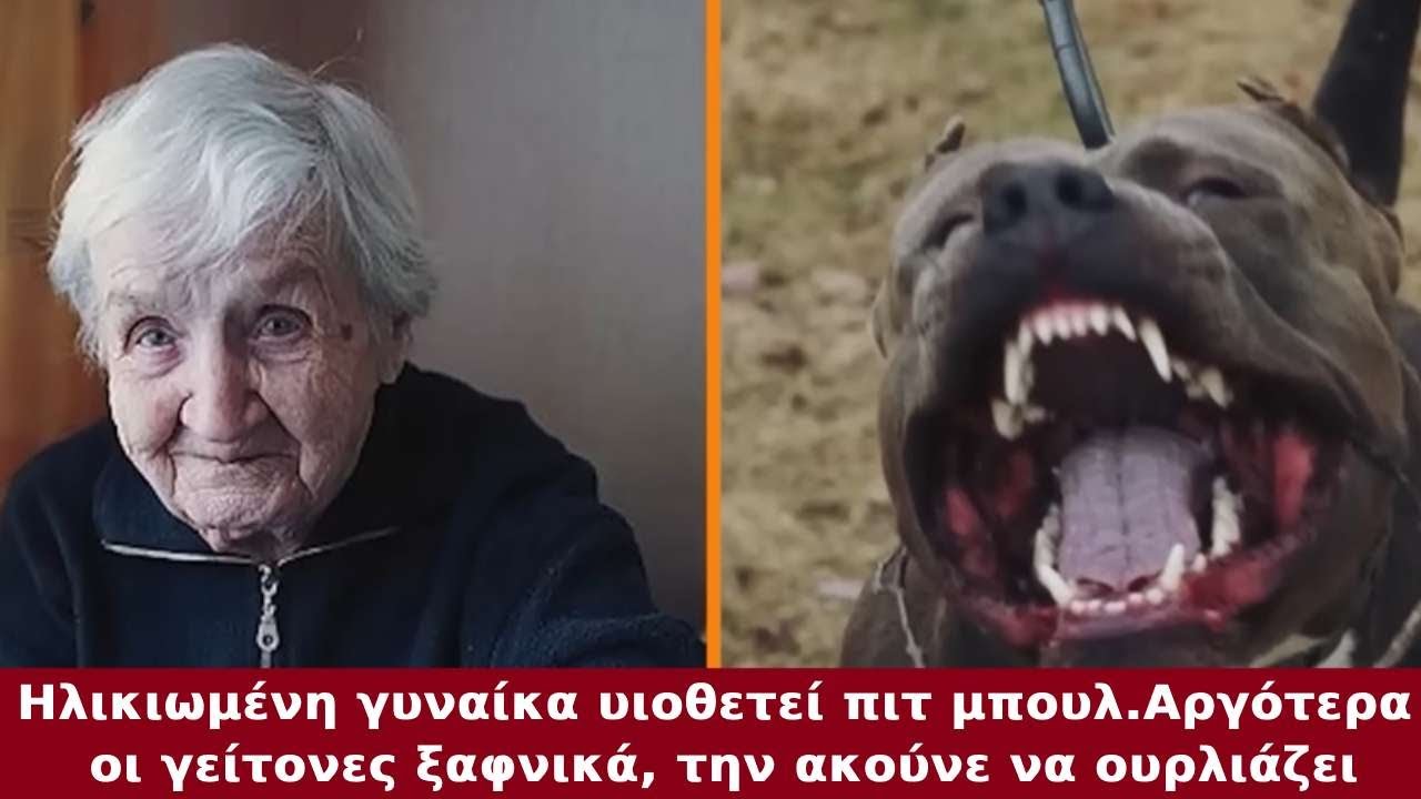 Ηλικιωμένη γυναίκα υιοθετεί πιτ μπουλ. Αργότερα οι γείτονες ξαφνικά ...