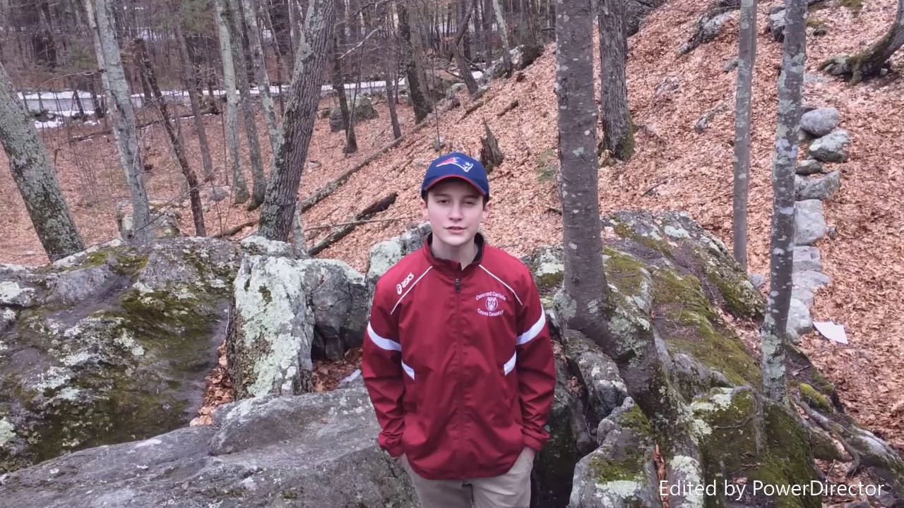 Q3 Earth Science Project -- Frost Wedging and Root Wedging - YouTube