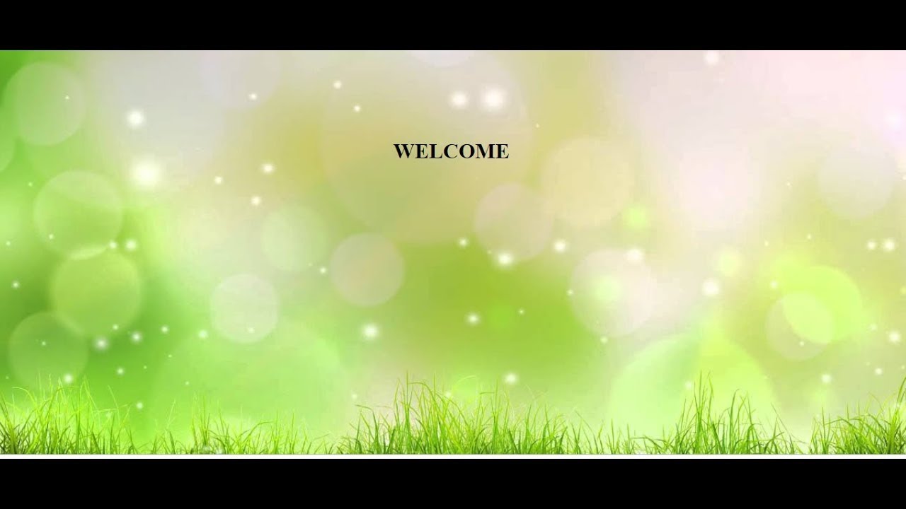 Background For Image in php and html - YouTube