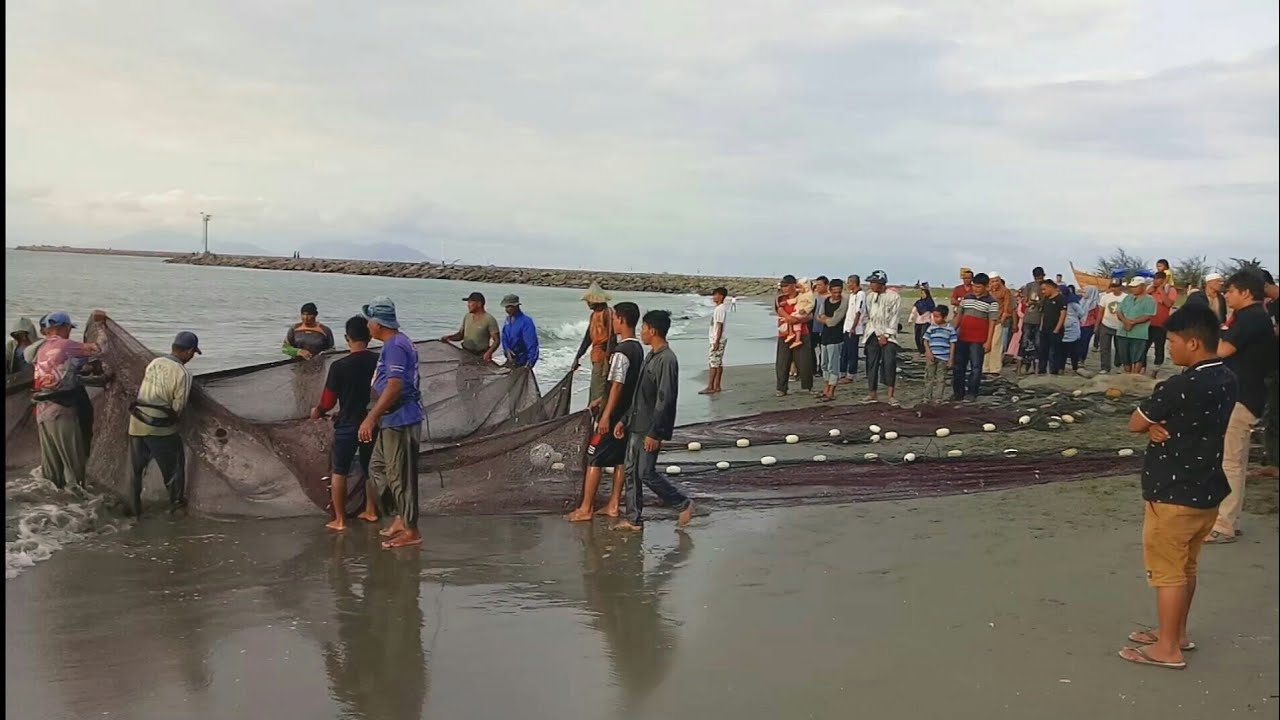 Labuh Pukat Darat Gampong Jawa Banda Aceh / Pukat Tradisional - YouTube