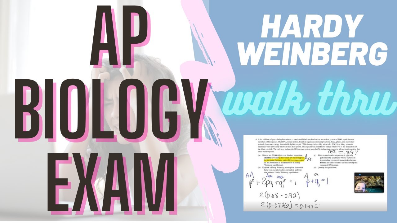 Hardy Weinberg AP Biology Exam Question Walk-Thru - YouTube