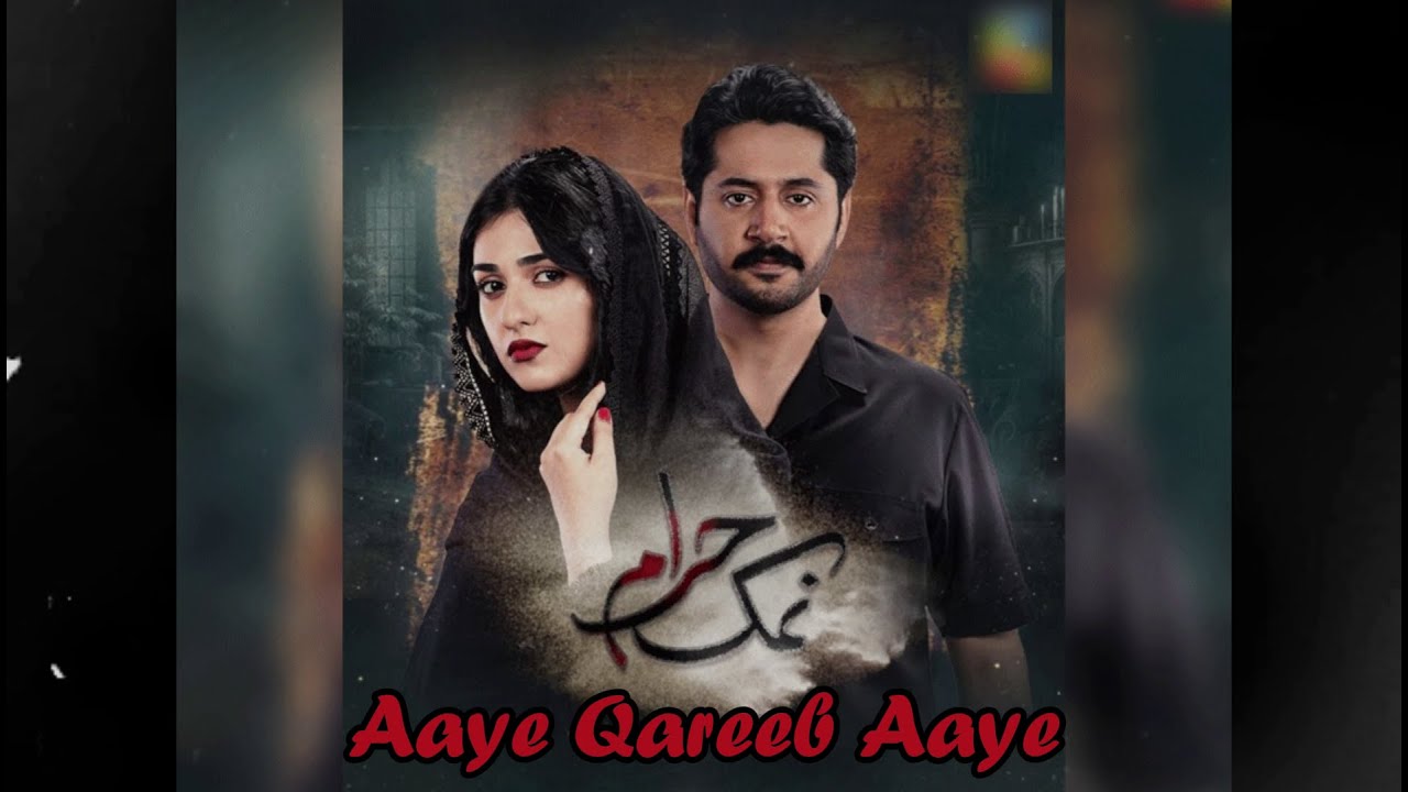 AAYE QAREEB AAYE 🎶 | Slowed Reverb | Namak Haram Full Ost | Hum TV ...
