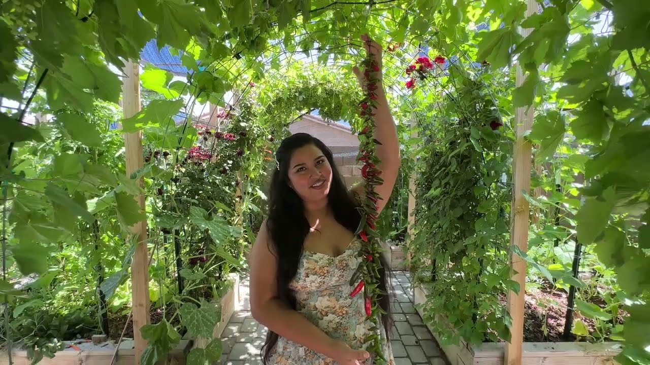 Stringing Peppers to Preserve a Bountiful Harvest - YouTube