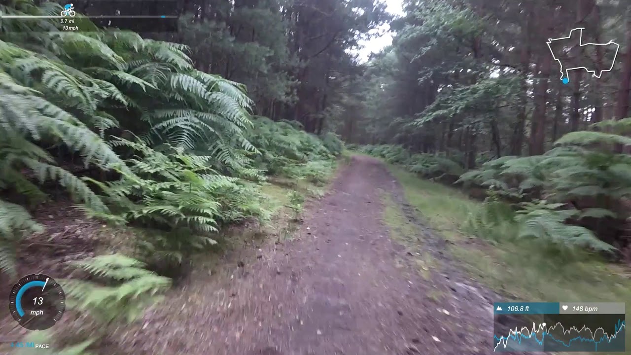 Rendlesham forest Tang Trail - YouTube