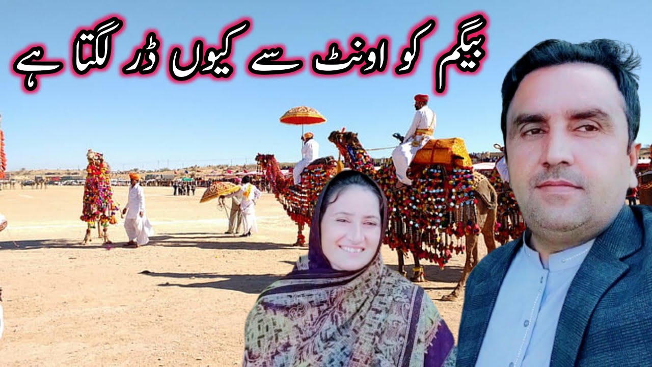 Begum Ko Camel Sey Itna Dar Kyon Lagta Hey😍| Ghar Main Sham Ka Khana ...