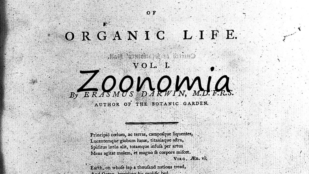 How to Pronounce Zoonomia? - YouTube