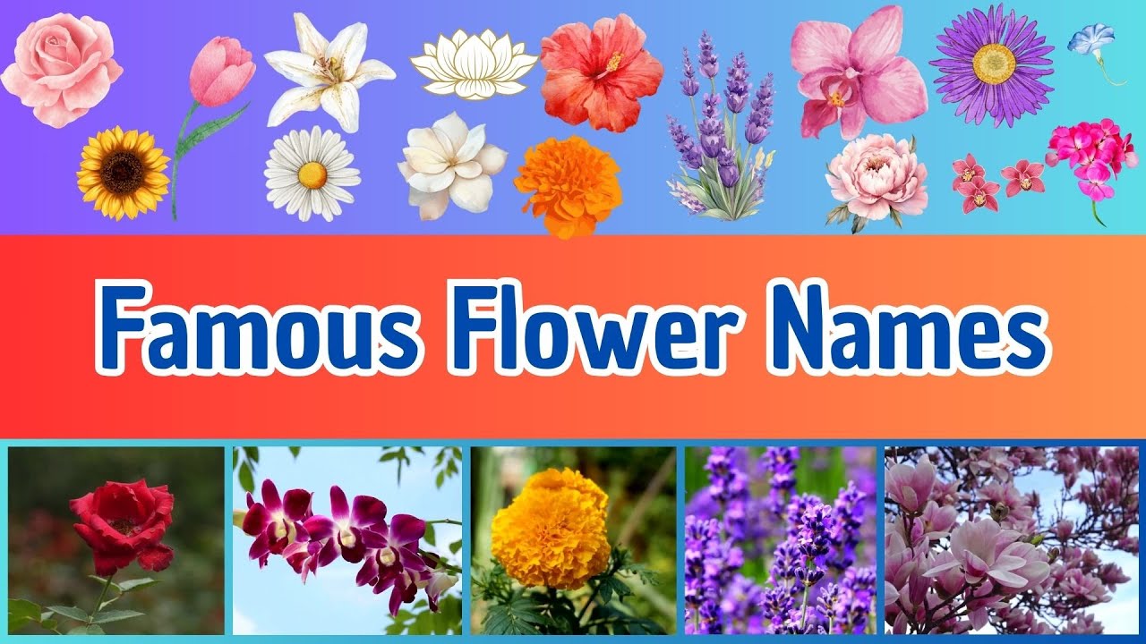 30 Beautiful Flowers for Kids | Learn Flower Names with Fun Sentences ...