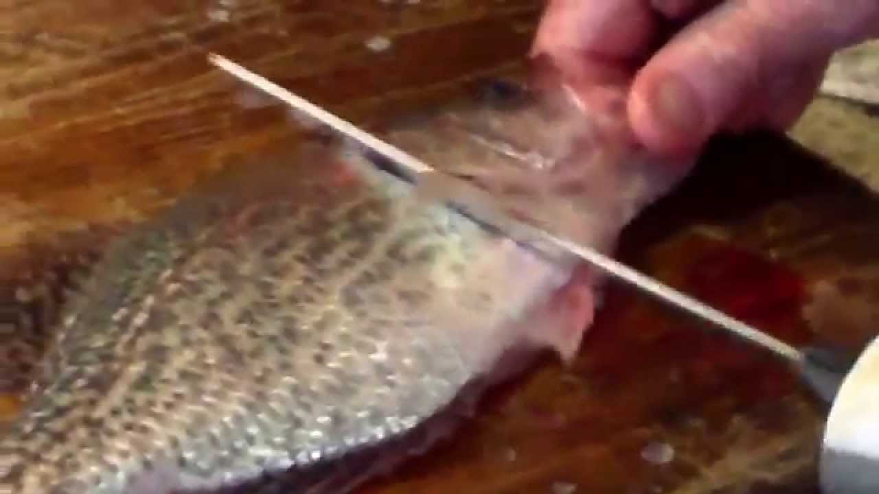 Woodie demo How to Fillet a Crappie - YouTube