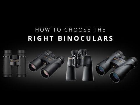 Binoculars: How It Works | How to Choose Binoculars | Which Binoculars ...