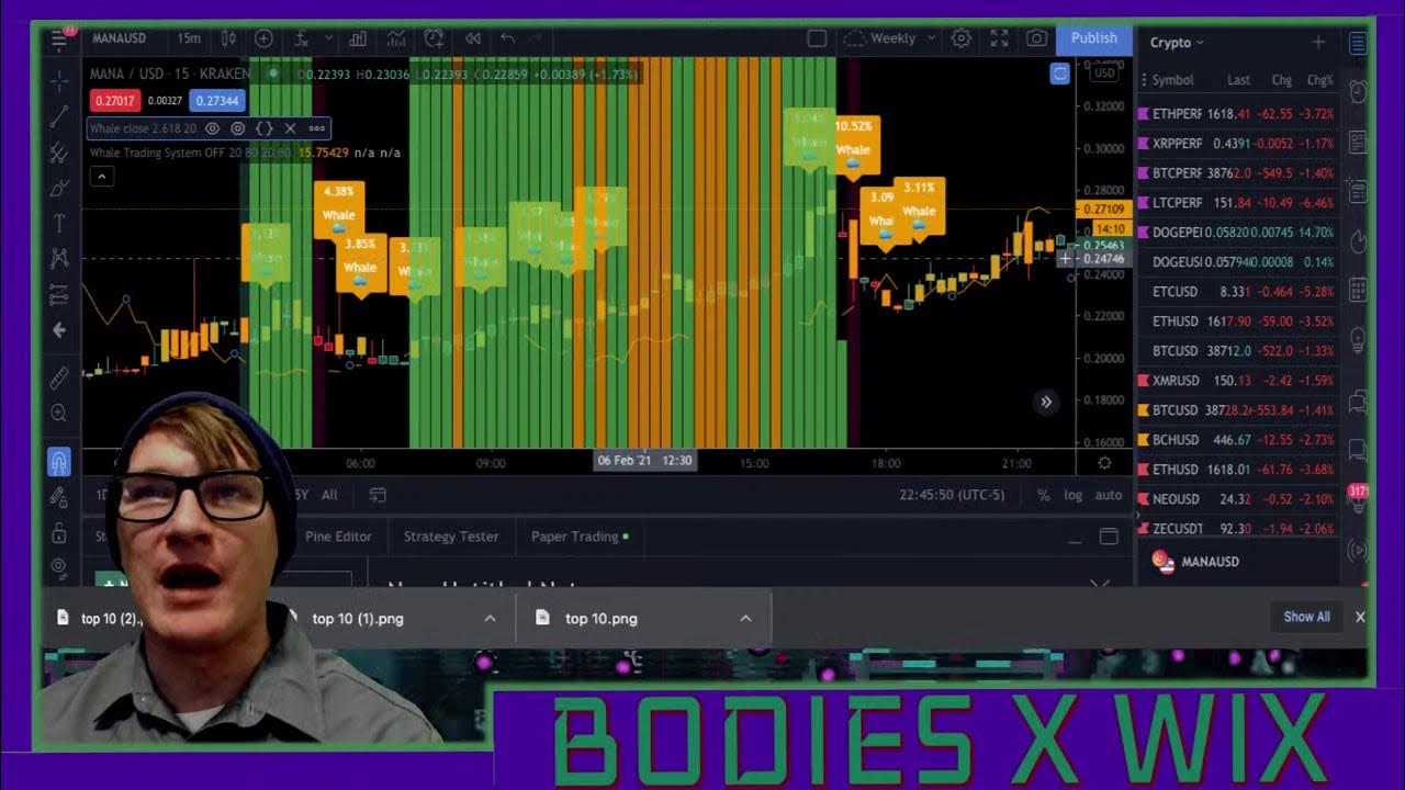 WHALE ALERT!!! Tradingviews' Whale Indicator and how to use it (the point, Indictors are ...