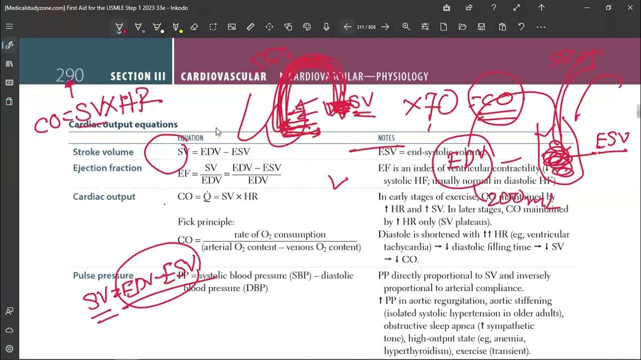 1 Cardiac Output, Preload, Afterload, and Contractility: What's the ...