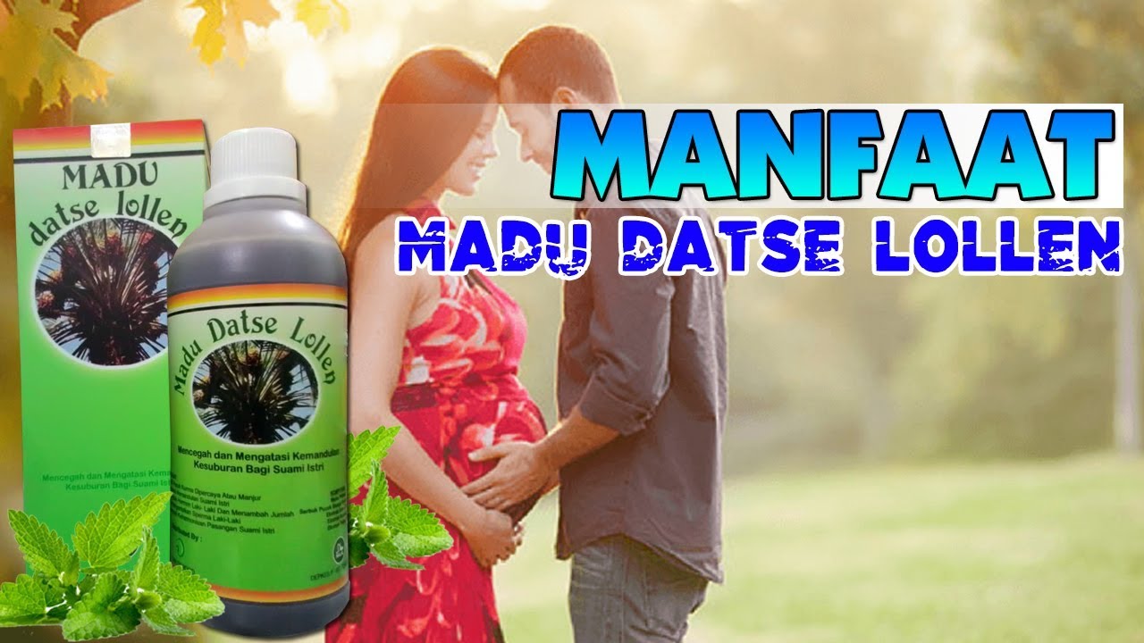 Sangat Ampuh Ini Dia Manfaat Madu Datse Lollen Untuk Membantu Program ...