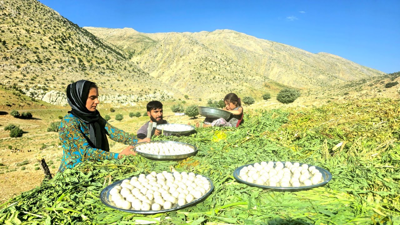 Nomads’ Hard Life in Iran’s Mountains | Traditional Kashk-Making with ...