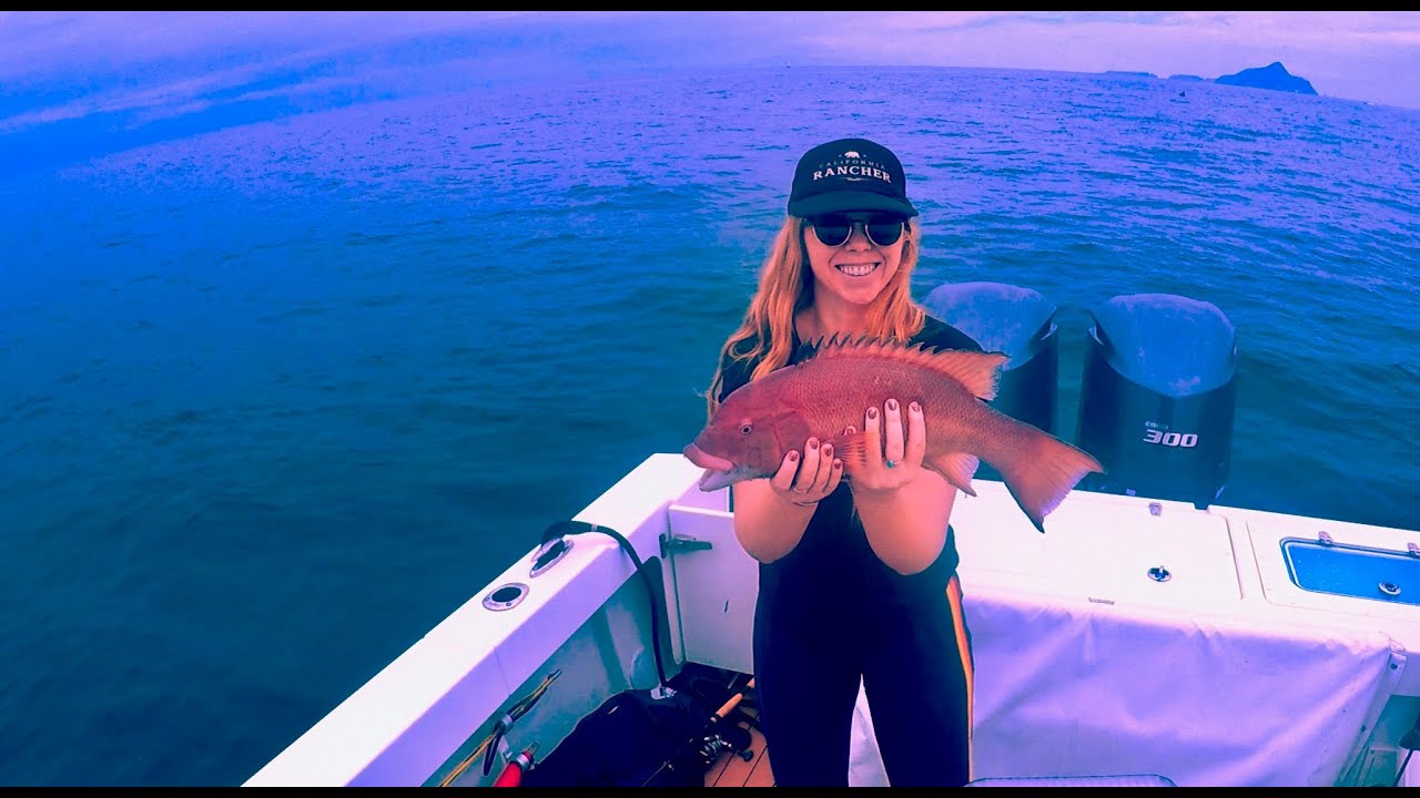 Fishing the Channel Islands- sheephead and rockfish + mixed bag - YouTube