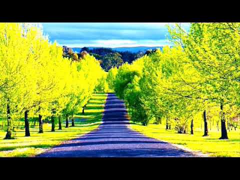 Most Beautiful scene in the world 😍 - YouTube