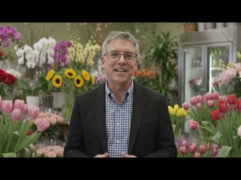 Atlanta’s Best-Selling Flowers | Same-Day Delivery by Carithers Flowers