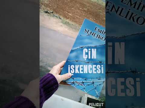 Emine Şenlikoğlu - Çin işkencesi sesli kitap 1-kısım #çinişkencesi #uyghur #doğutürkistandazulümvar