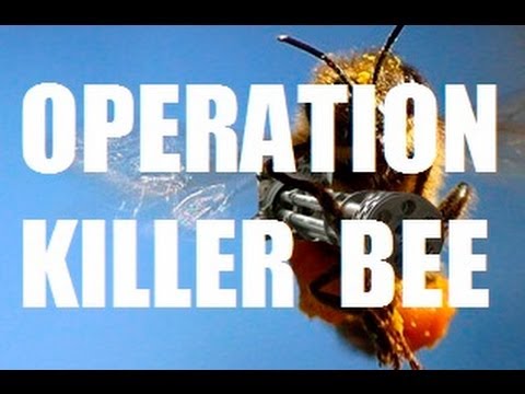 OPERATION KILLER BEE - YouTube