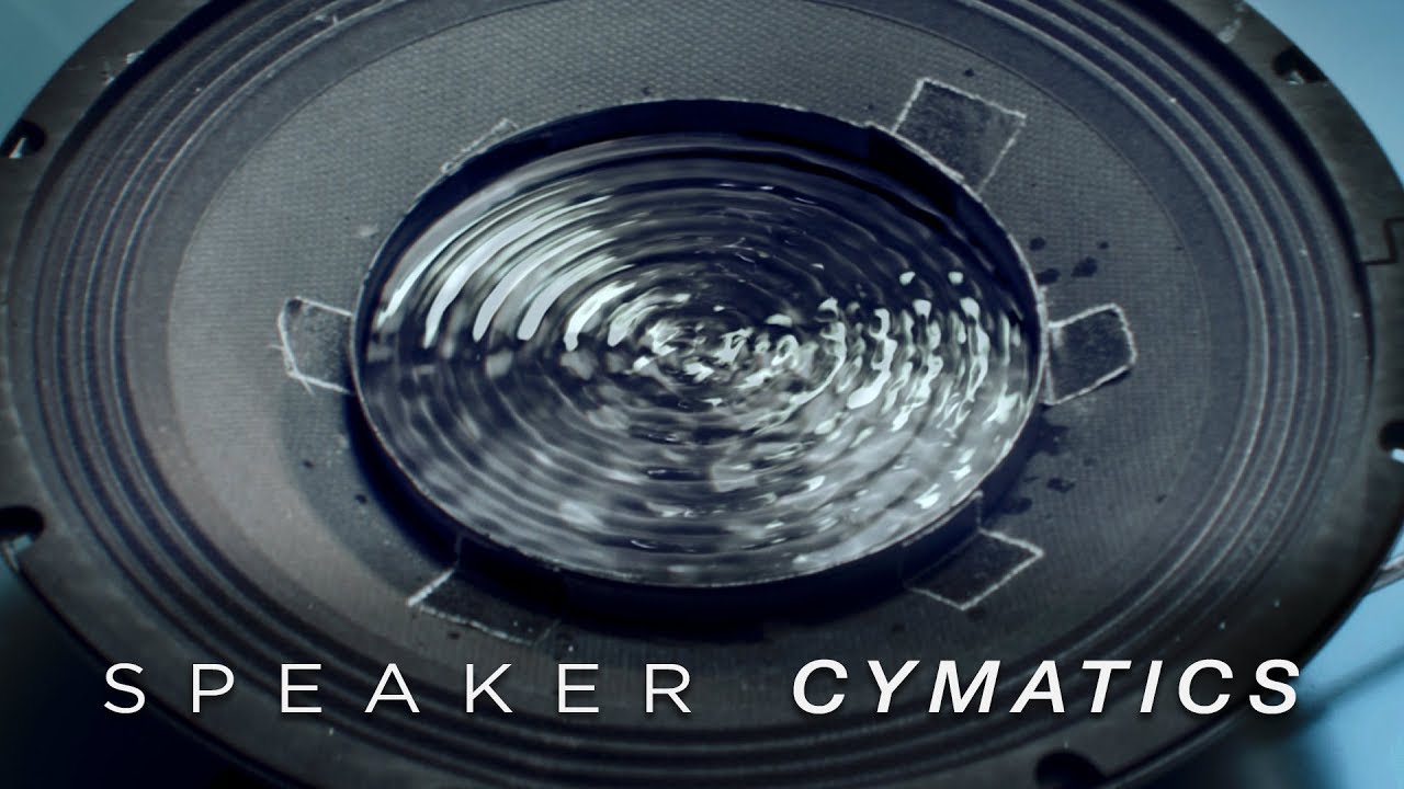 Cymatics: Speaker Dish - YouTube