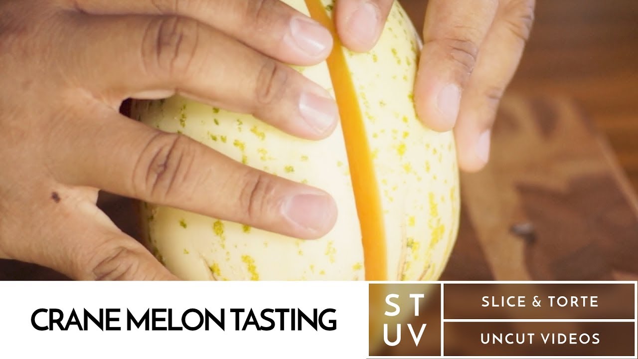 Crane Melon Tasting - Slice & Torte Uncut Videos - YouTube