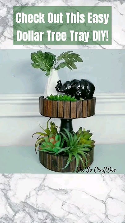🔥 GRAB Dollar Tree Items For This Multi-Purpose Tray DIY #dollartreediy #shesocraftdee #shorts ...